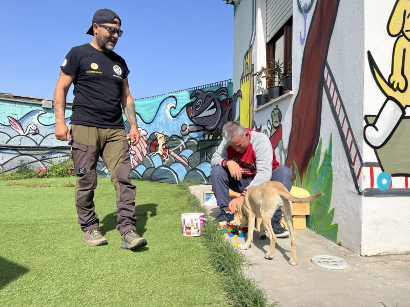 Effetto Palla Onlus | Il Regno di Palla